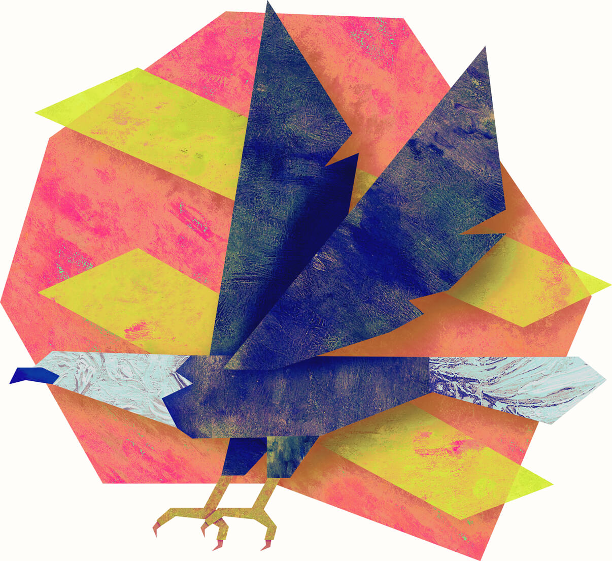 Unenumerated Rights Constitution